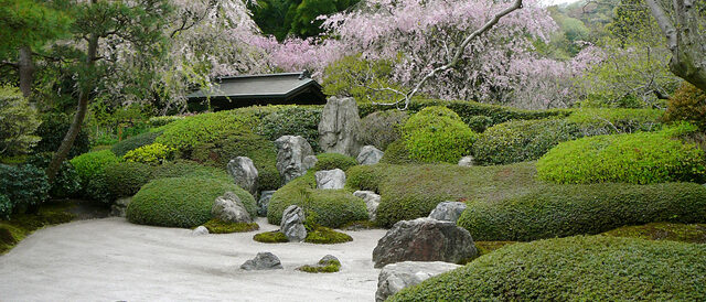 Meigetsu-in (明月院) | A Zen Escape into the Blue Hydrangeas of Kamakura