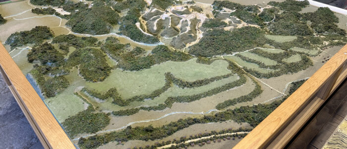 Tamanawa History Museum (玉縄歴史館) | Step Into the Quiet Legacy of a ...